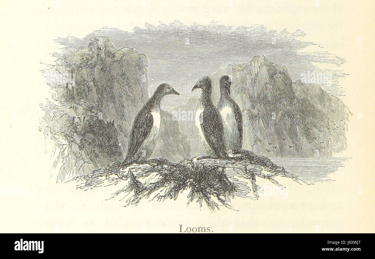 Gulf of boothia hi-res stock photography and images - Alamy