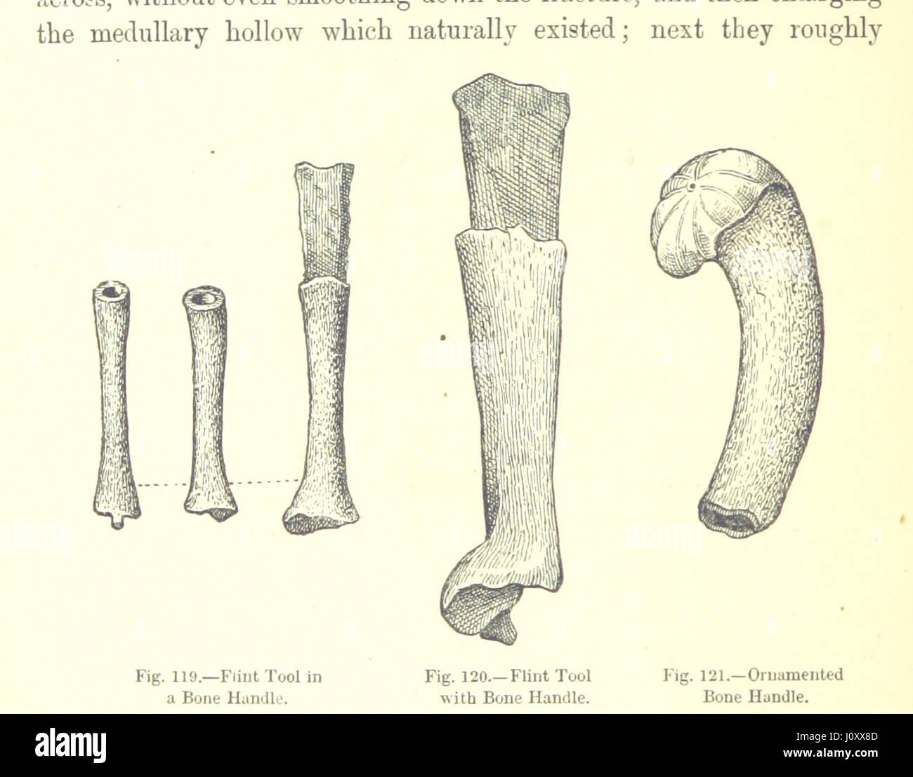 Primitive Man. Revised translation [from the French.] Illustrated with ...