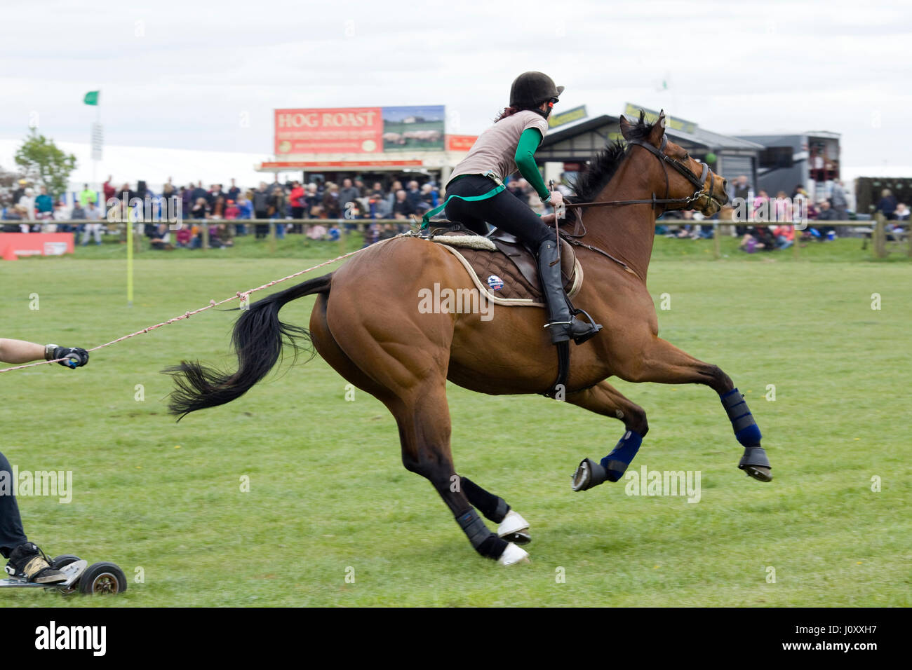Horse boarding display team Stock Photo - Alamy