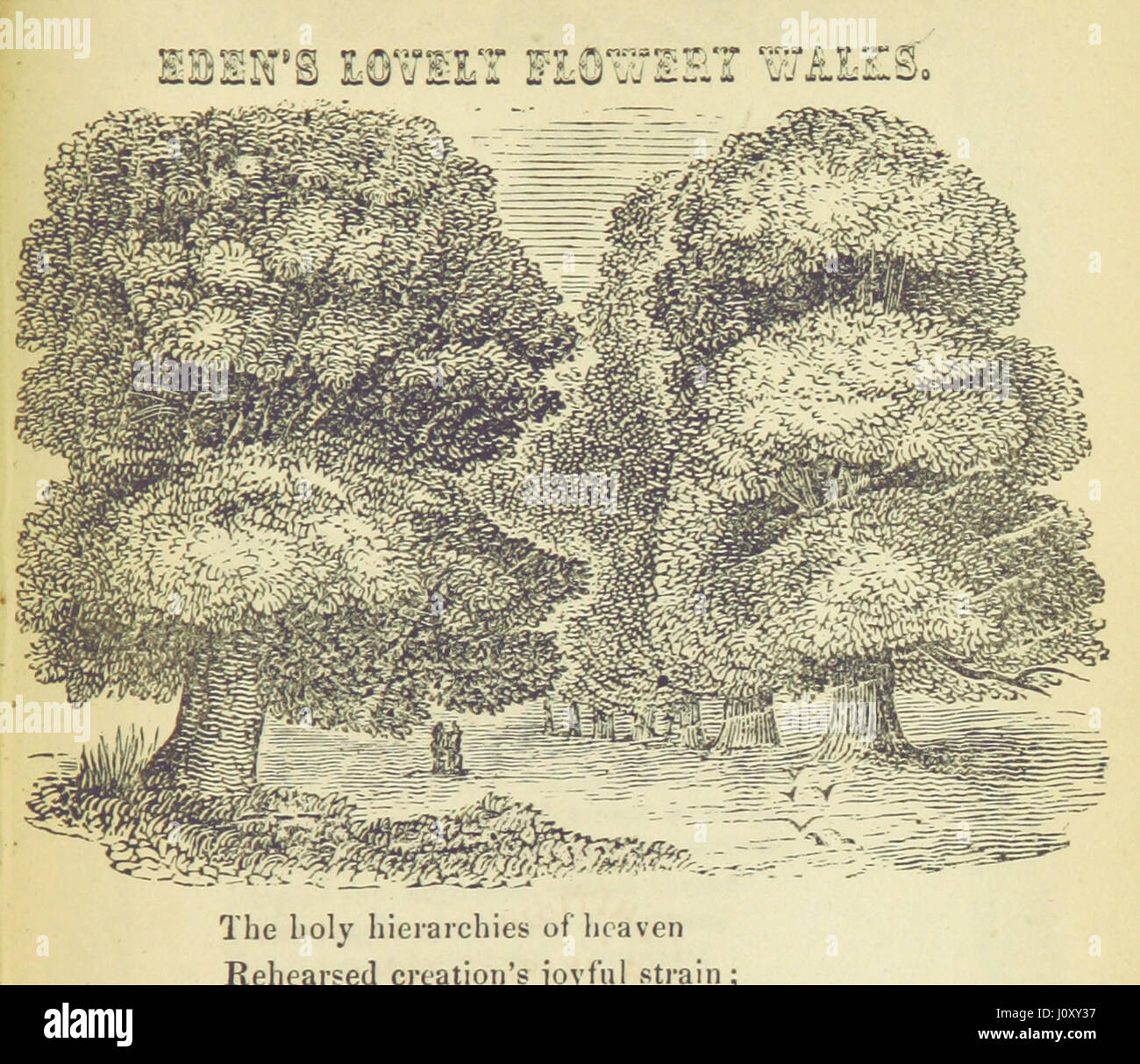 Creation of adam art gallery hi-res stock photography and images - Alamy