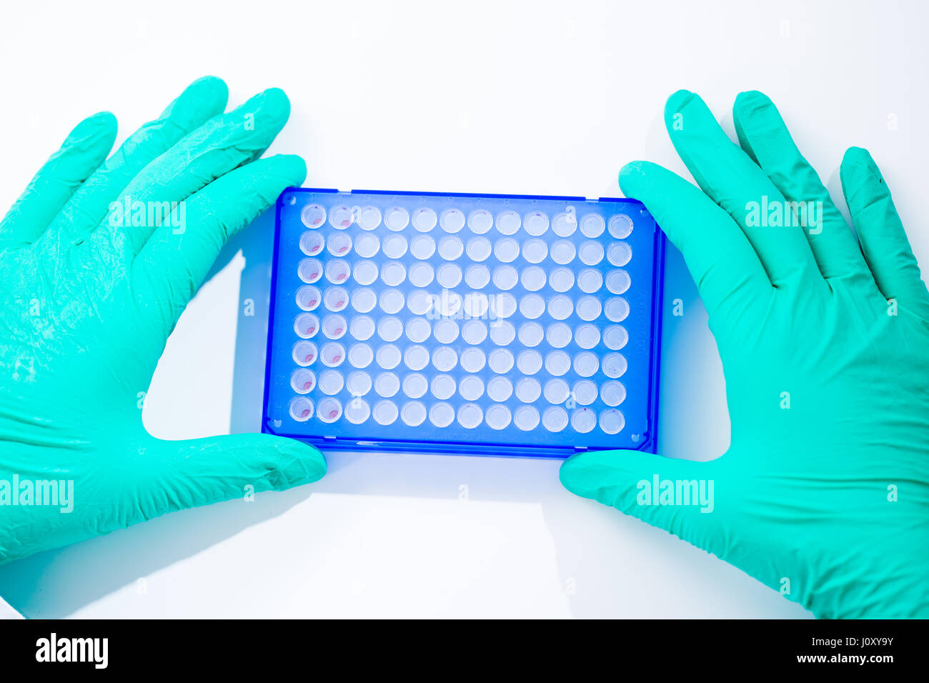 Scientist woman holding an open 96 well plate with samples, laboratory ...