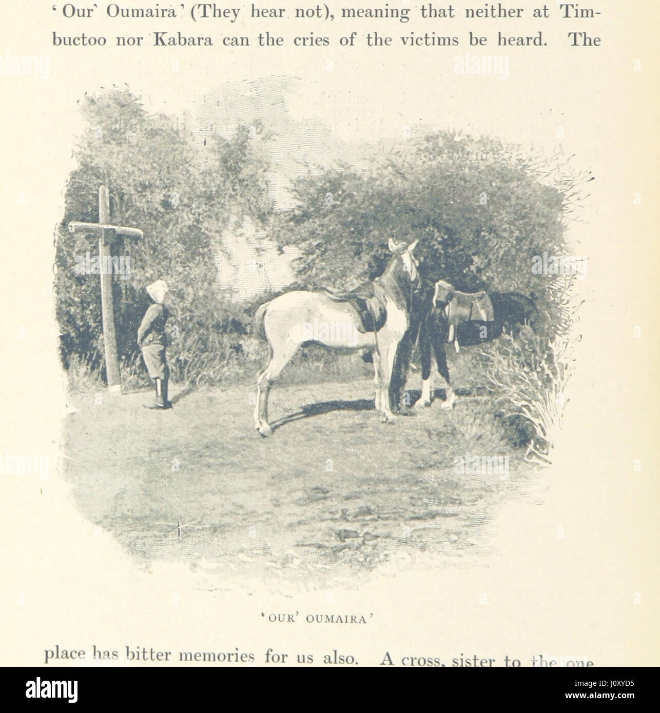This work explores the mystery of Timbuctoo, offering insights into the ...