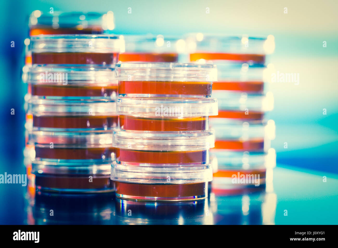 Stack of petri dishes on laboratory taable Stock Photo - Alamy