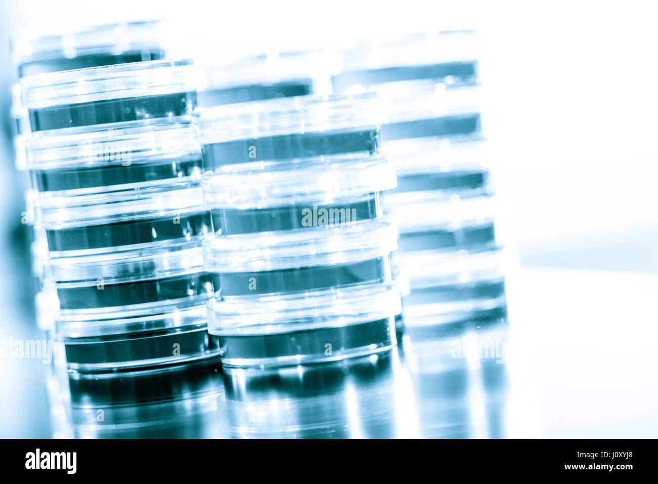 Stack of petri dishes on laboratory taable Stock Photo - Alamy