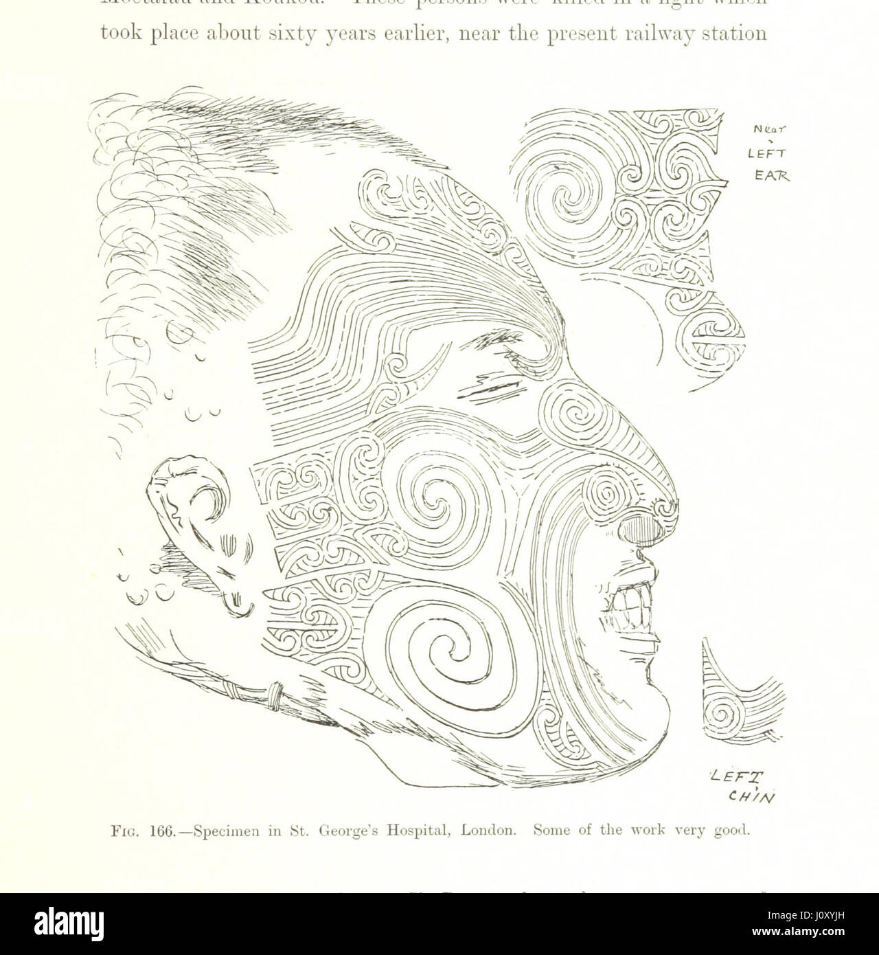 This image is from 'Moko; or, Maori Tattooing,' a work that explores ...