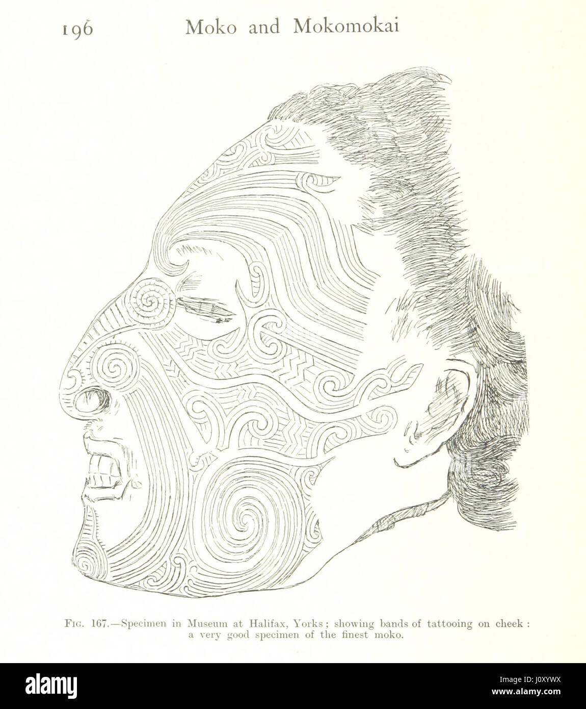 'Moko; or, Maori Tattooing' explores the traditional art of Maori ...