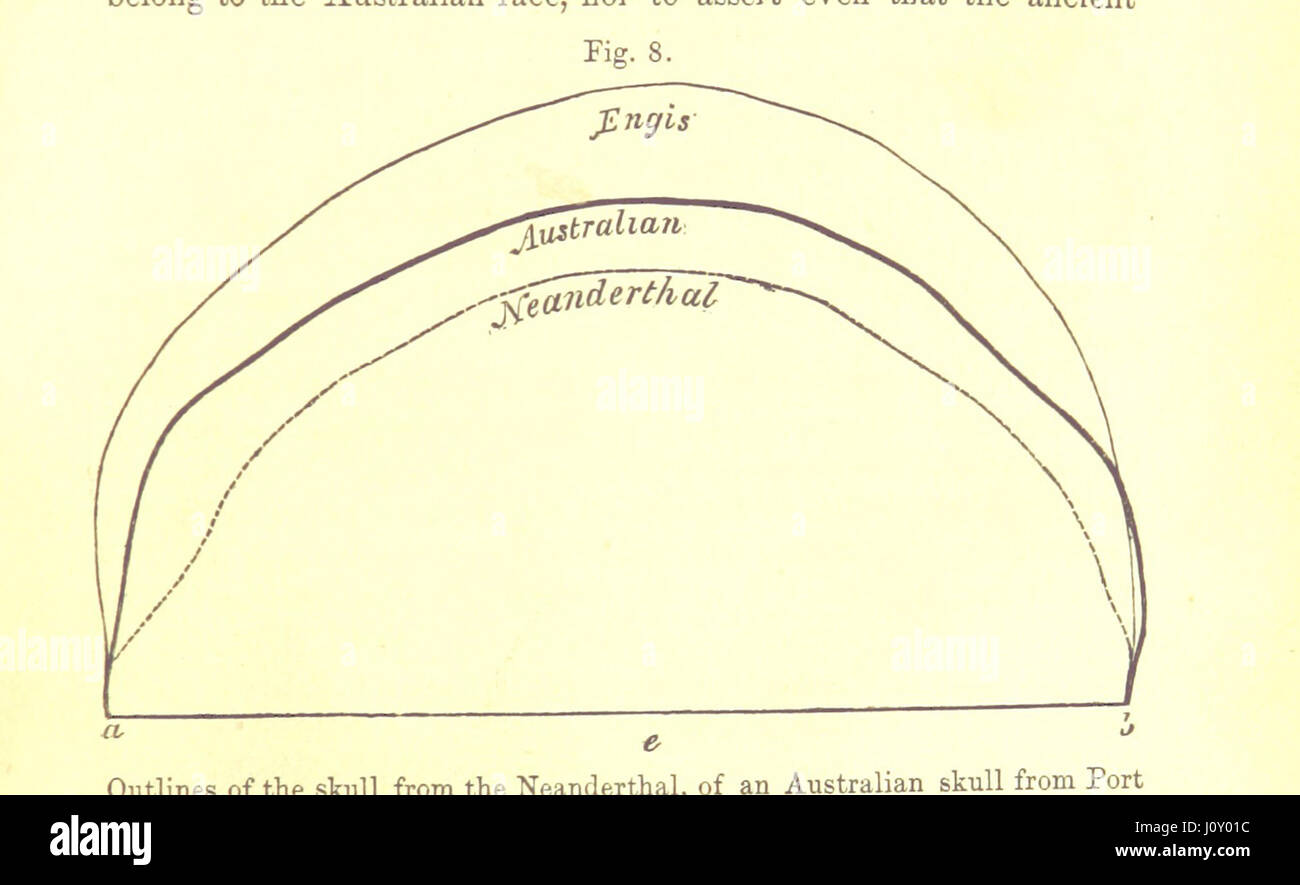 This work discusses the geological evidence supporting the antiquity of ...