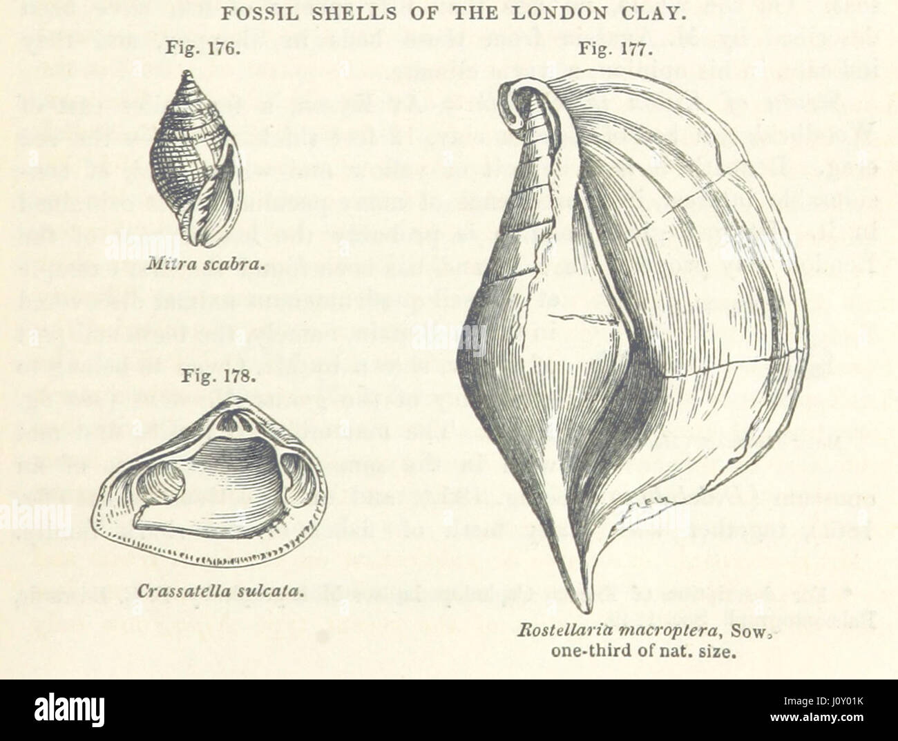 This image from 'A Manual of Elementary Geology' illustrates key ...