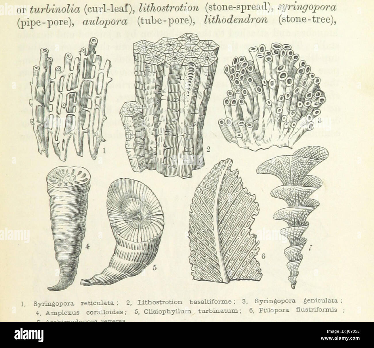 The 'Advanced Text-book of Geology' is an in-depth geological study ...