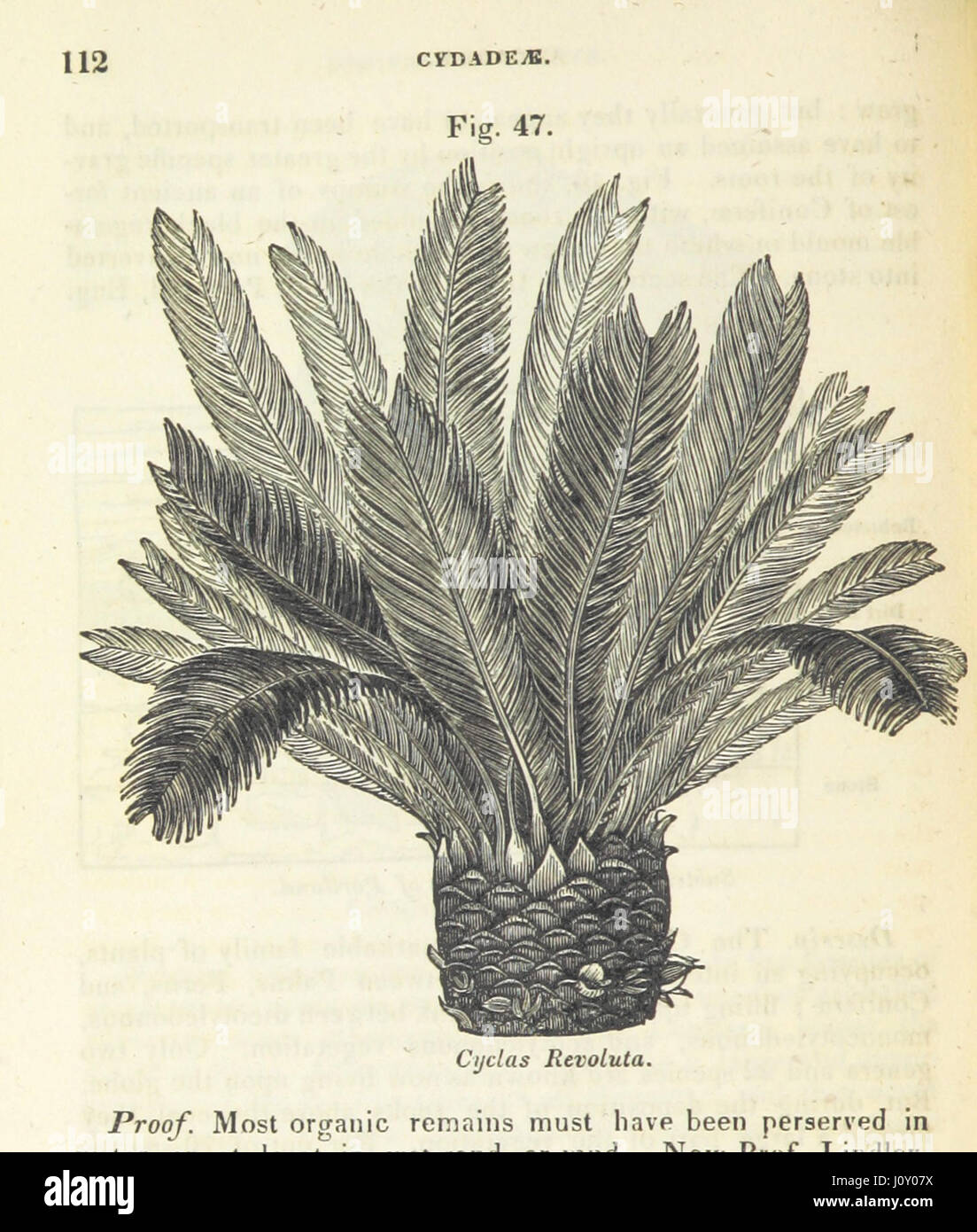 'Elementary Geology' provides an introduction to geological principles ...