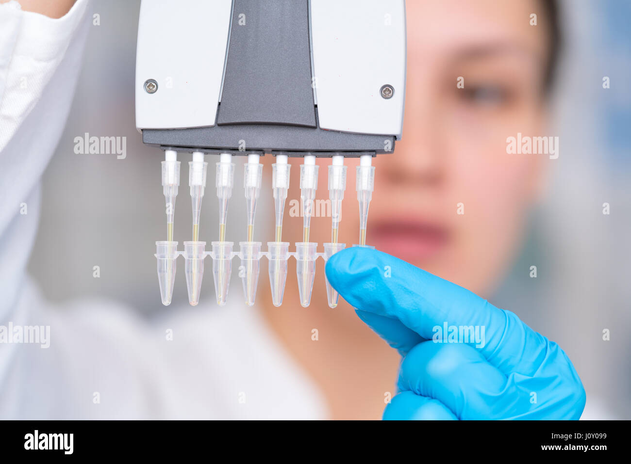 Woman technician with multipipette in genetic laboratory PCR research ...