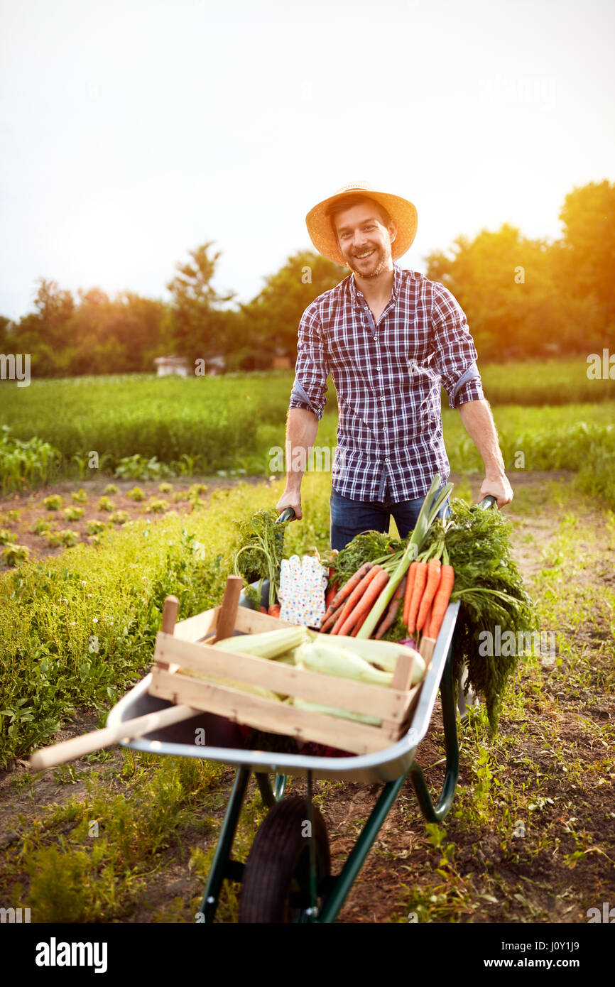 Farmer with wheelbarrow full of vegetables in garden Stock Photo - Alamy