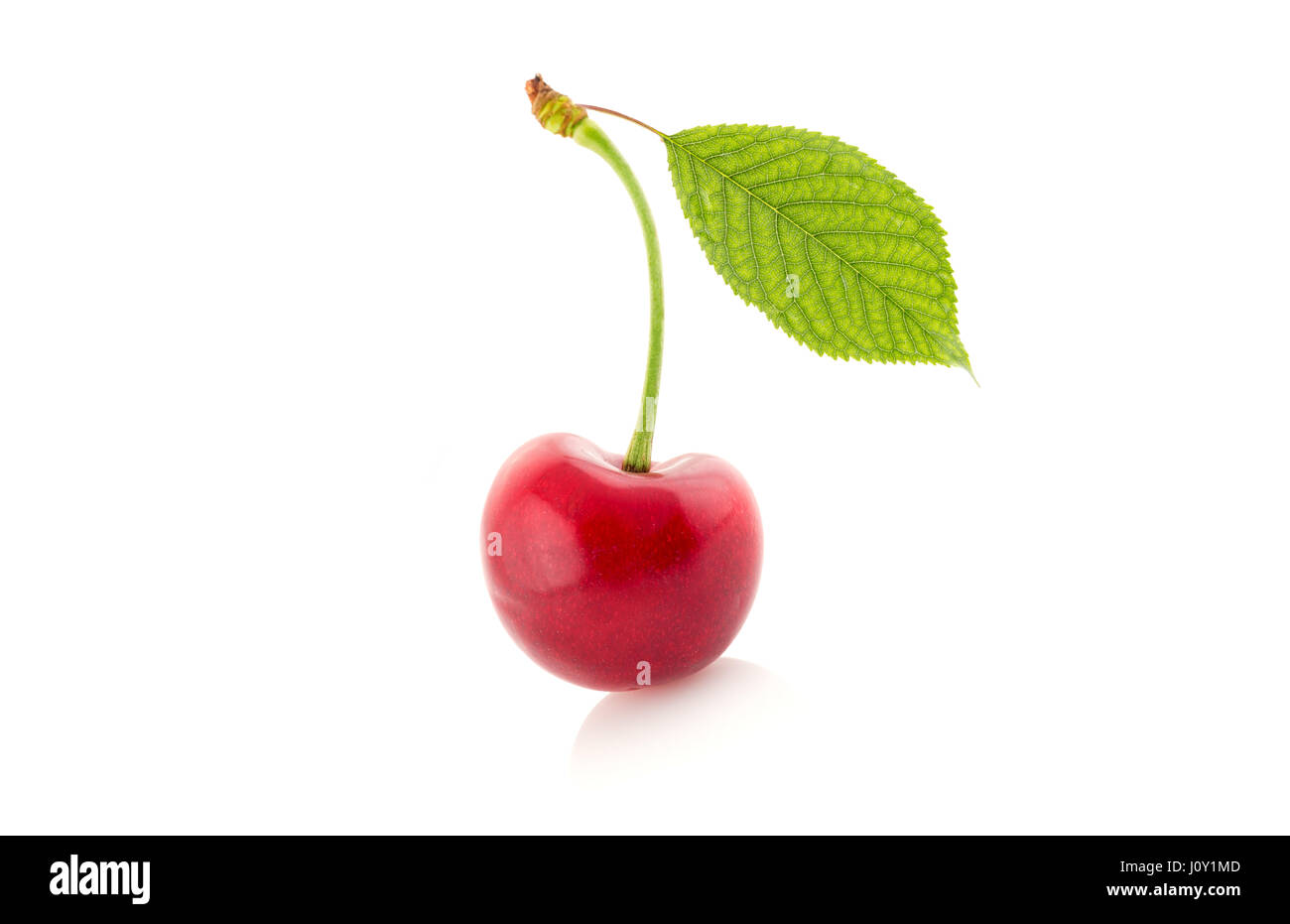 Juicy red cherry isolated on white Stock Photo - Alamy