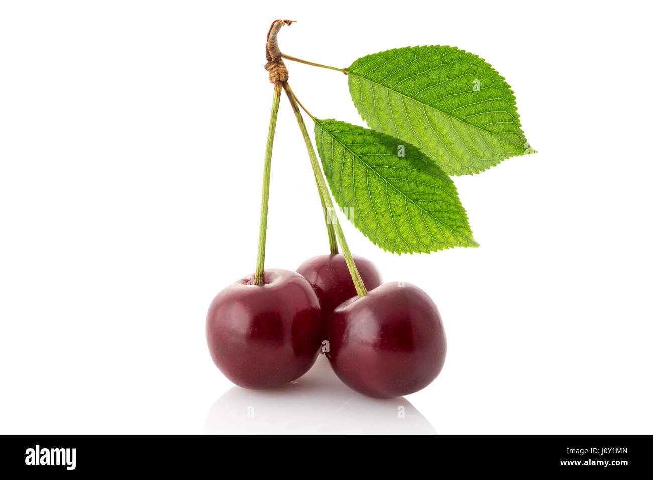 red cherry isolated on white Stock Photo - Alamy