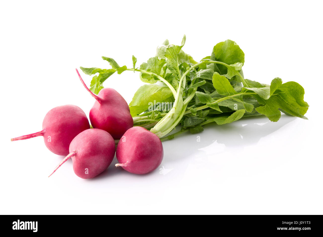 Fresh red radish isolated on white background Stock Photo - Alamy