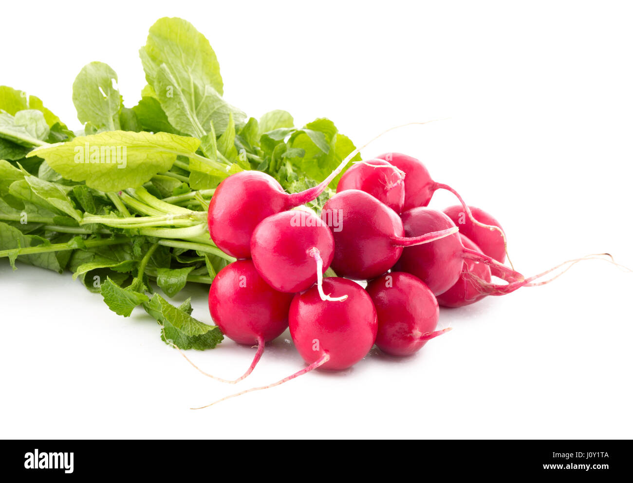 Fresh red radish vegetables with green leaves isolated on white ...