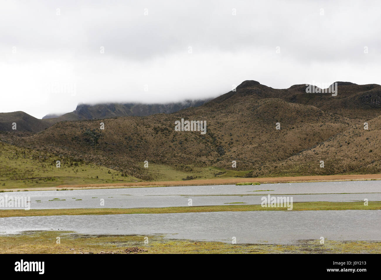 Foothill of the Cotopaxi volcano, Ecuador Stock Photo - Alamy