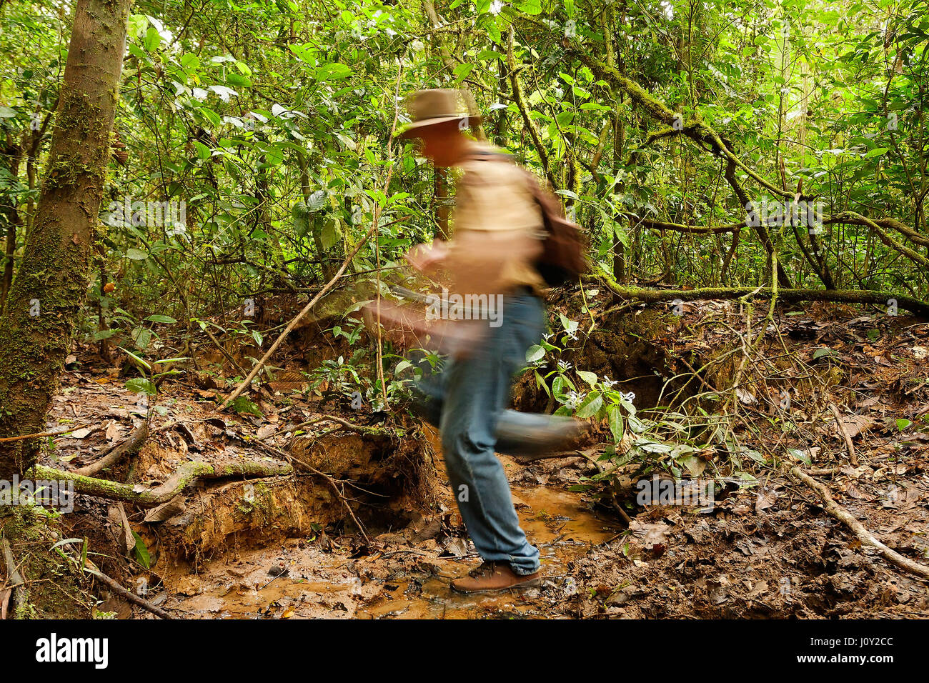 Amazon rainforest research hi-res stock photography and images - Alamy