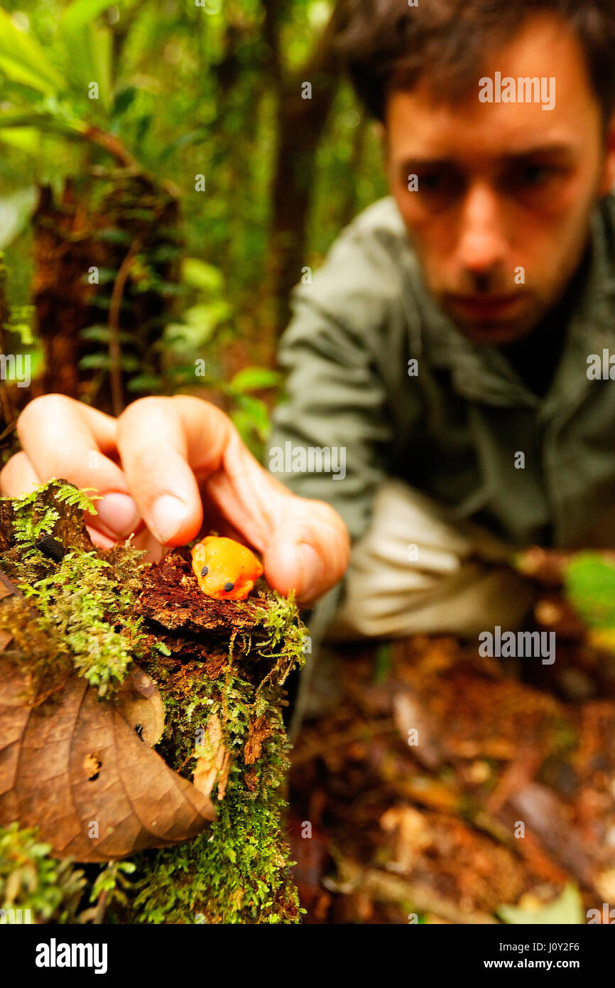 Yasuní national park, amazon rainforest hi-res stock photography and ...