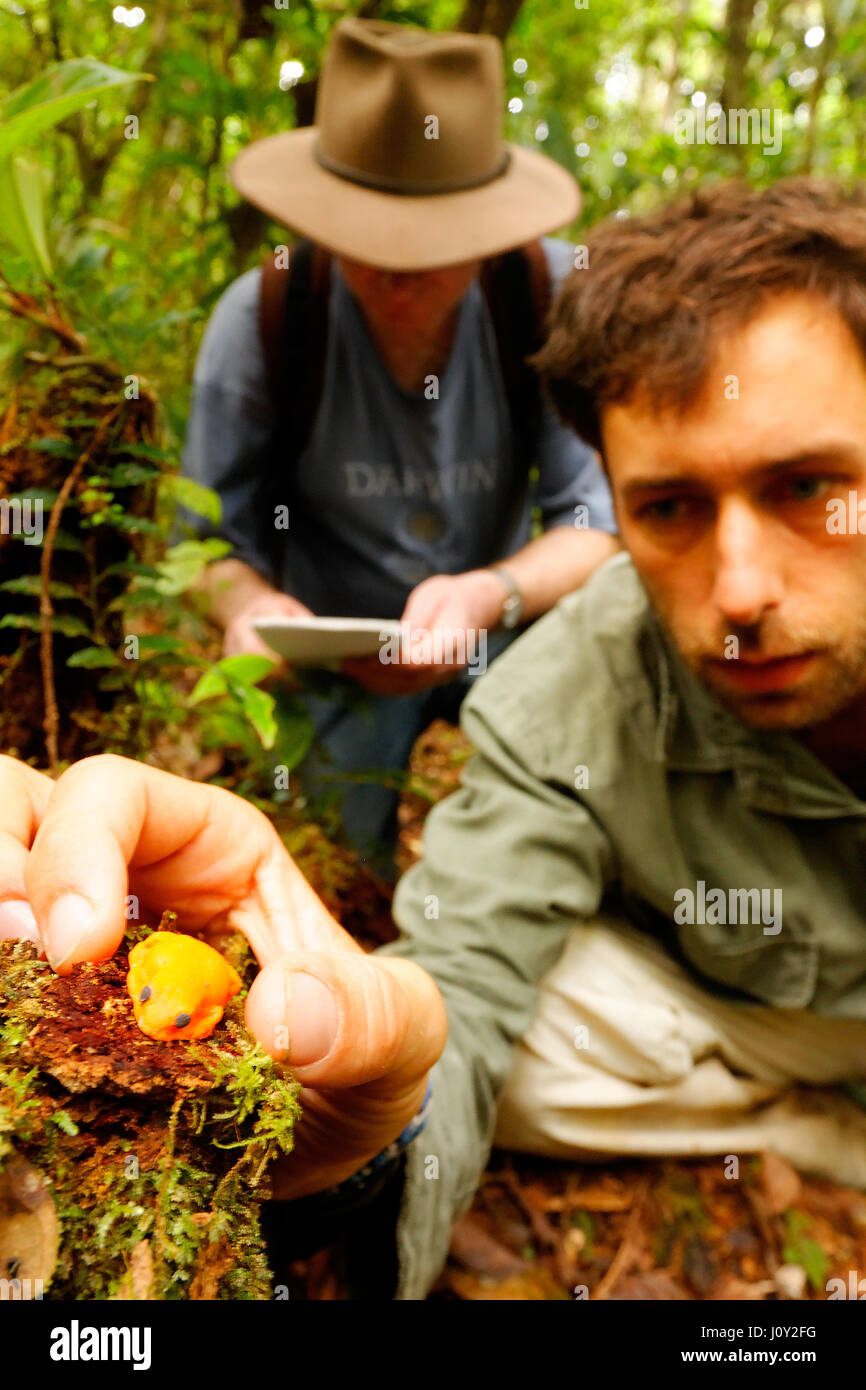 Fieldwork in rainforest hi-res stock photography and images - Alamy