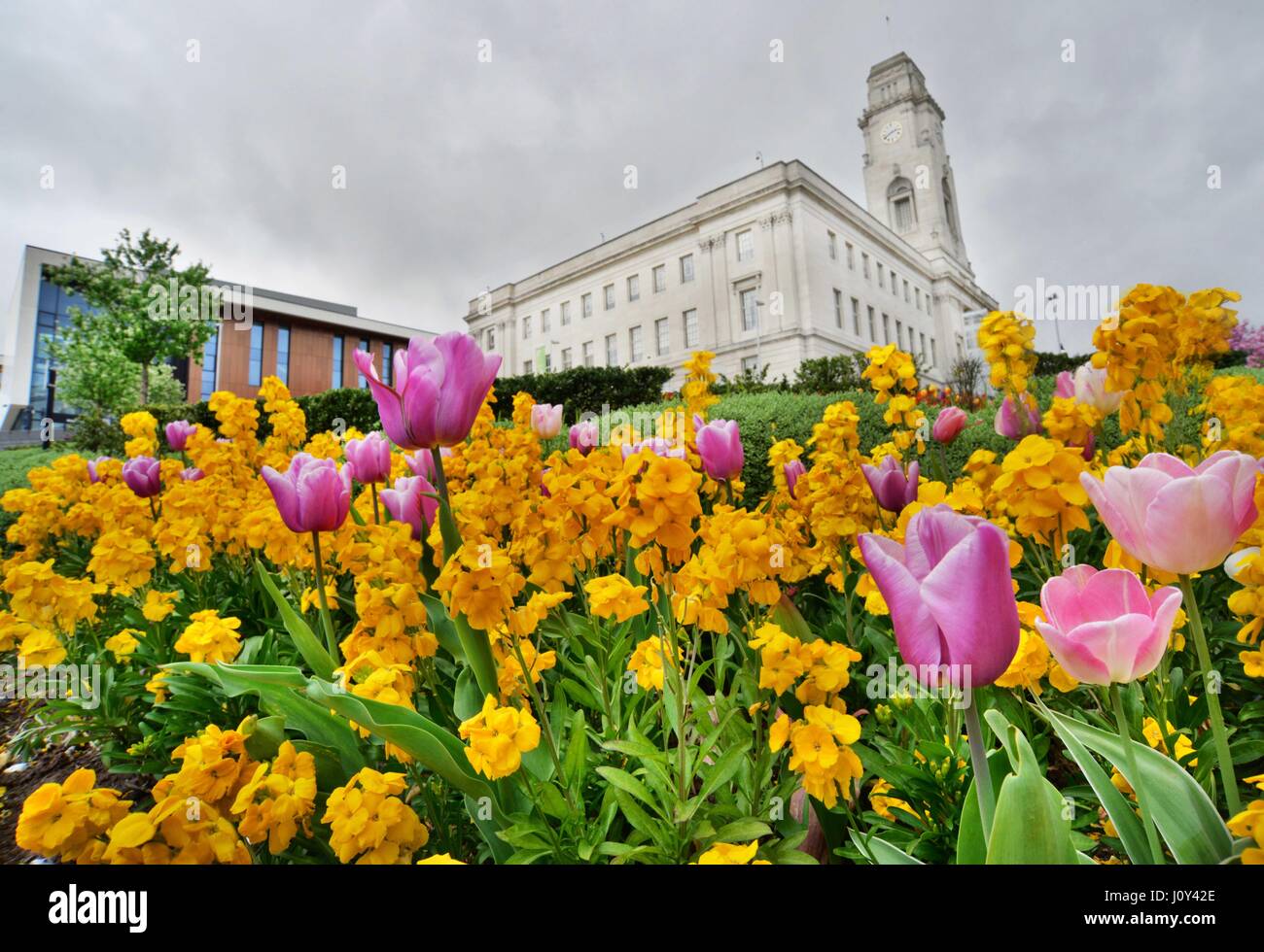 Barnsley nit comb hi-res stock photography and images - Alamy