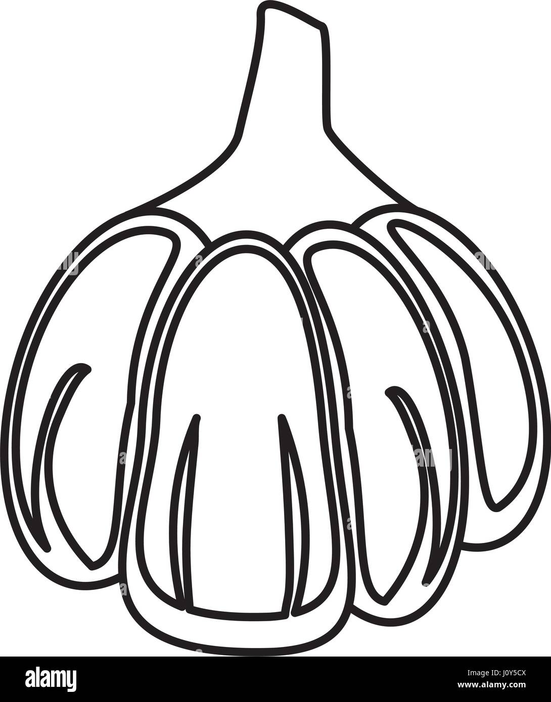 garlic food healthy image outline Stock Vector Image & Art - Alamy