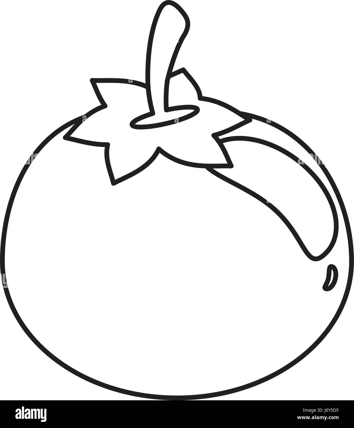 Tomato Vegetable Healthy Food Outline Stock Vector Images - Alamy