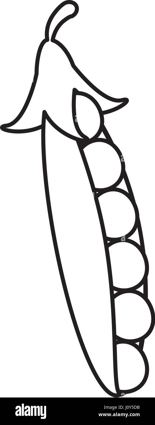 peapod food healthy image outline Stock Vector Image & Art - Alamy