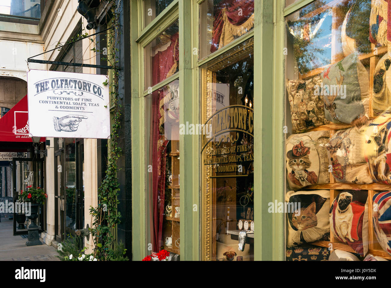 Olfactory hi-res stock photography and images - Alamy