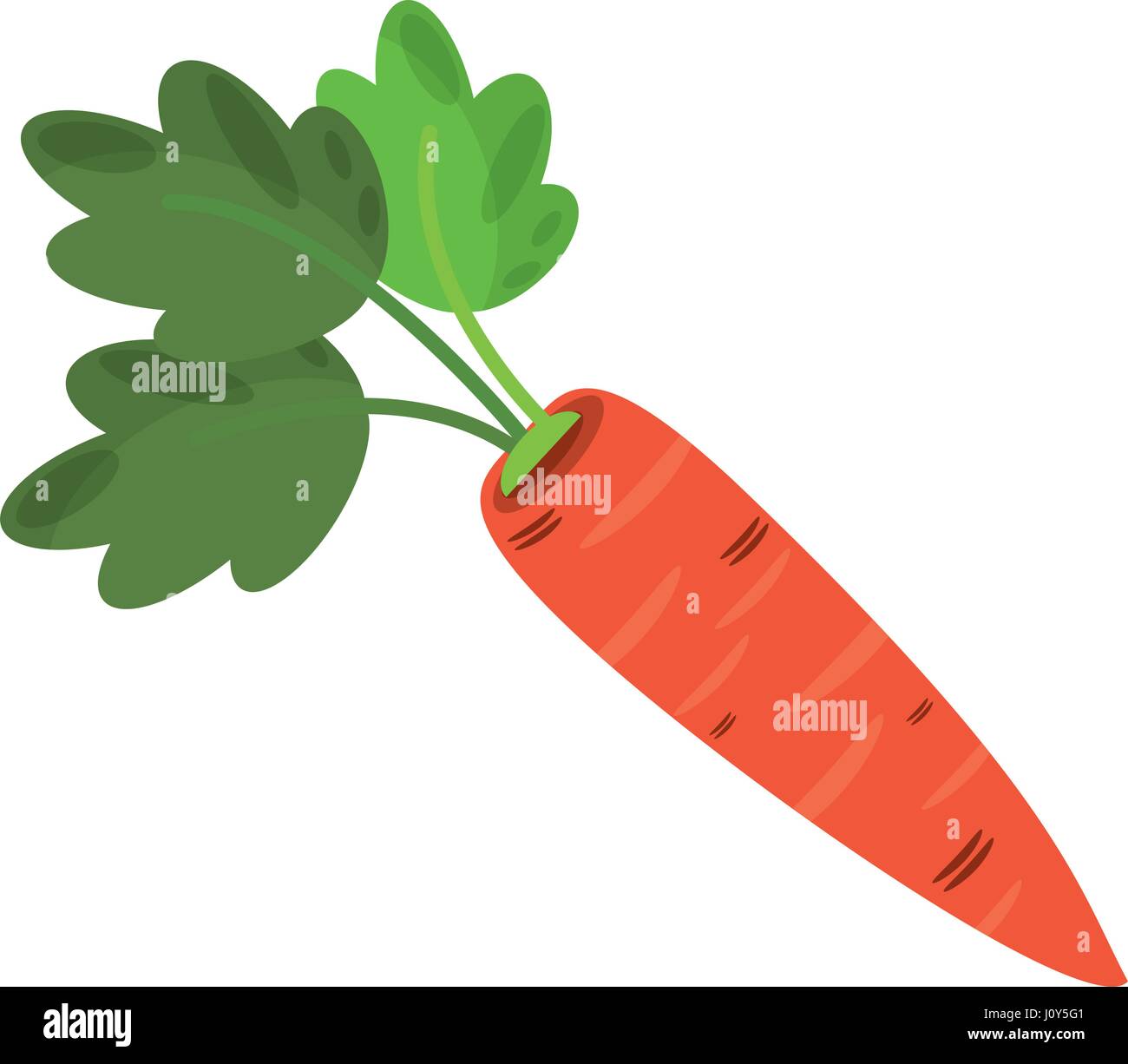 carrot food healthy image Stock Vector Image & Art - Alamy