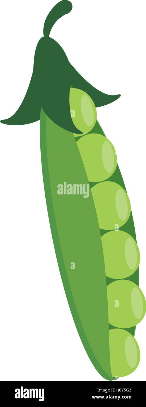 peapod food healthy image Stock Vector Image & Art - Alamy