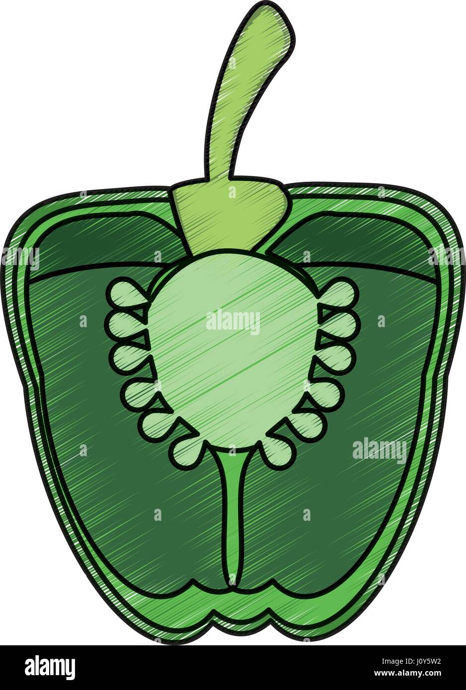 drawing green pepper slice nutrition food Stock Vector Image & Art - Alamy