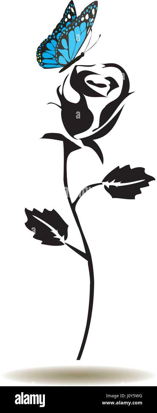 Rose And Butterfly Drawings