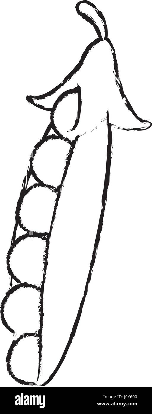 peapod food diet healthy sketch Stock Vector Image & Art - Alamy