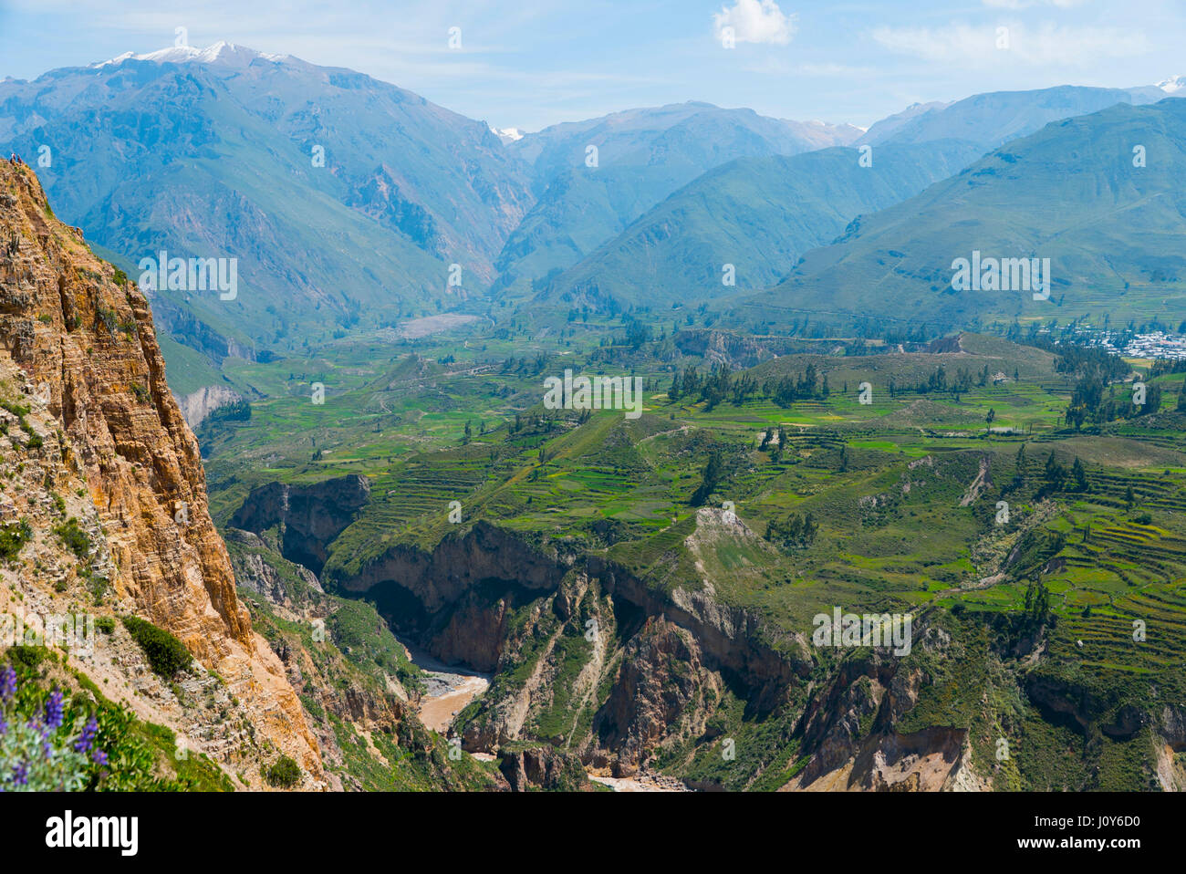 Colca Canyon Peru Stock Photo - Alamy
