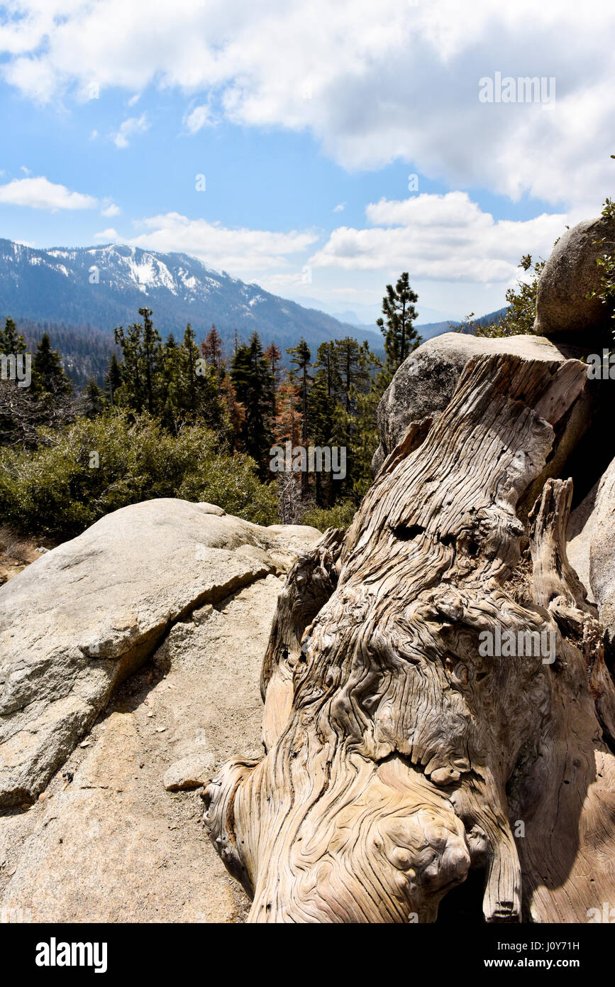 Sequoia National Park Landscape Stock Photo - Alamy