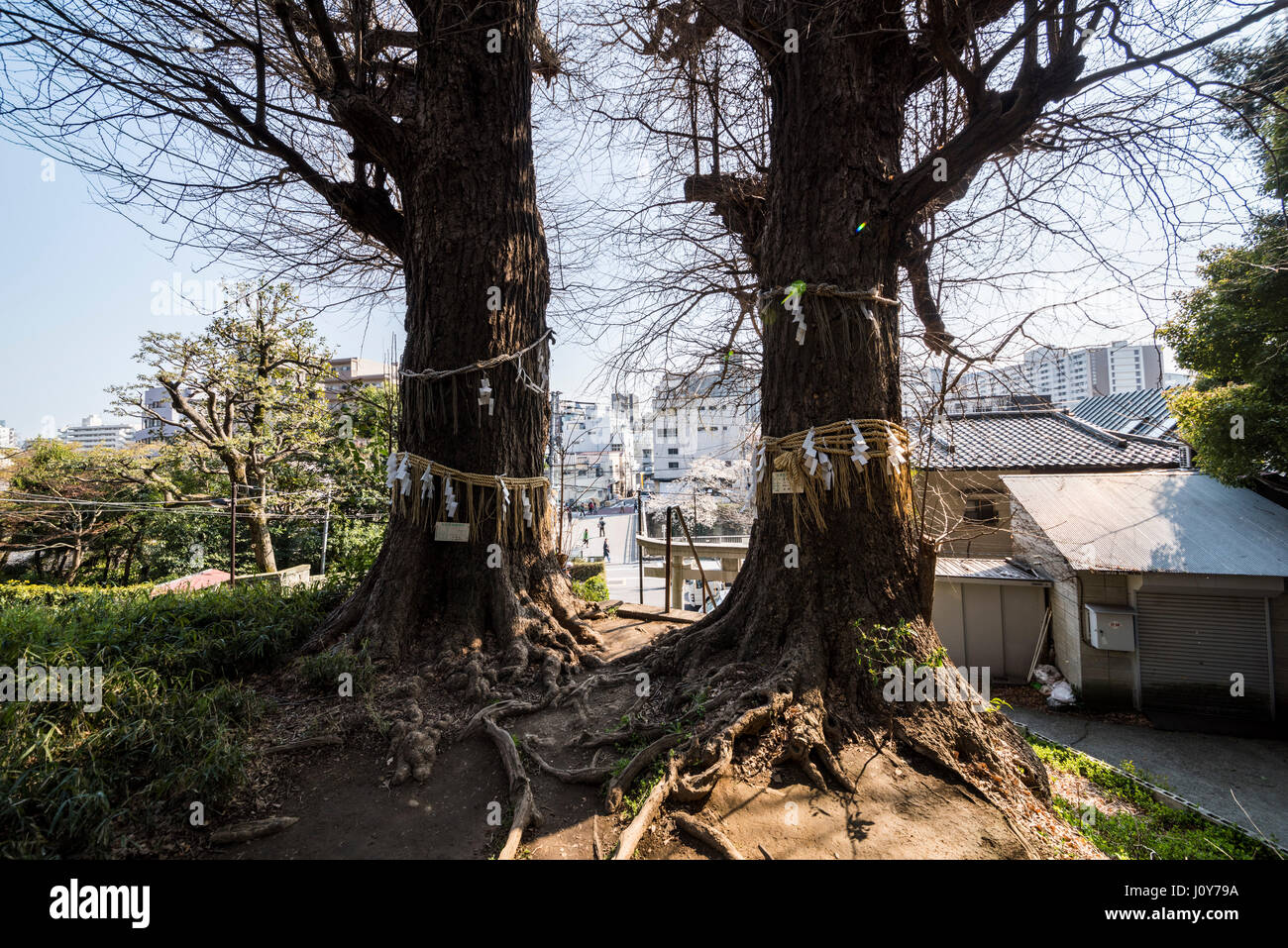 Japanese lightning shide hi-res stock photography and images - Alamy