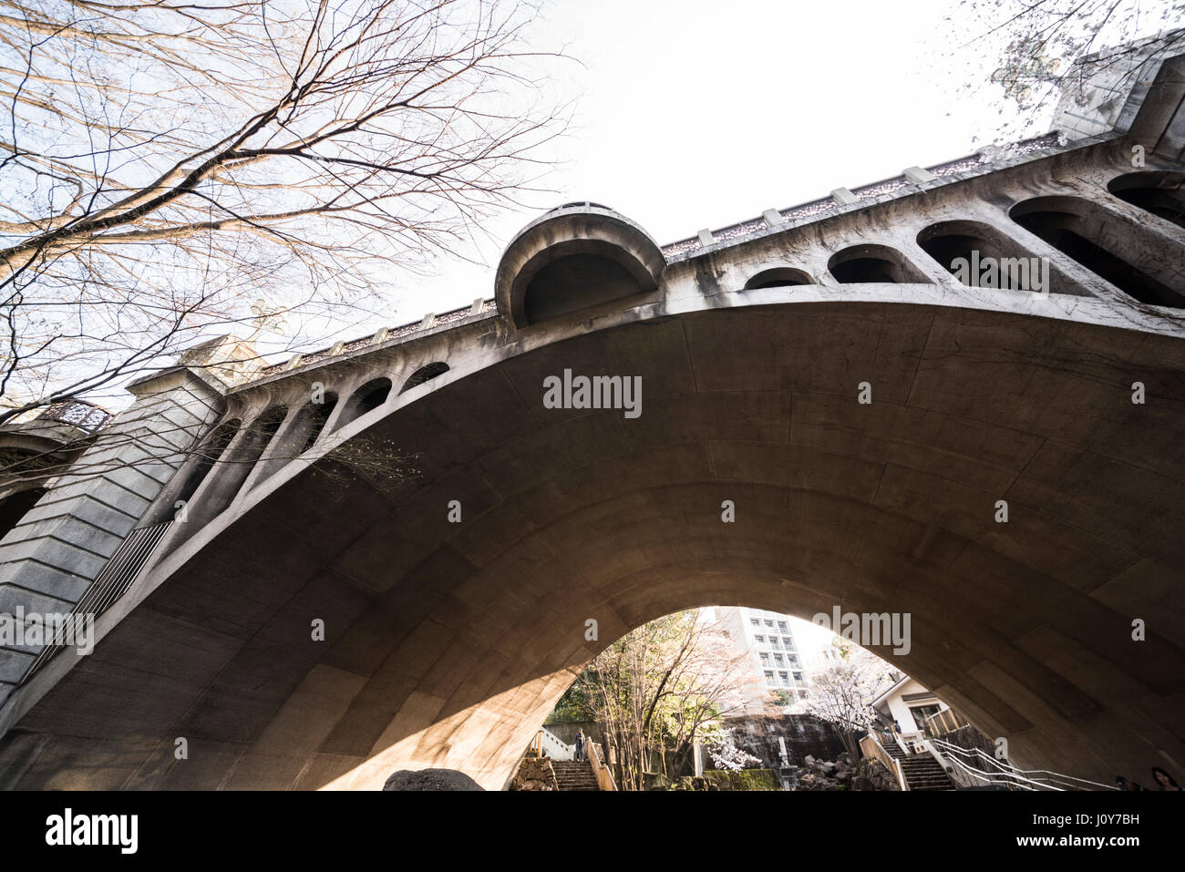 Cherry Blossom, Otonashi Shinsui Koen, Kita-Ku, Tokyo, Japan Stock ...
