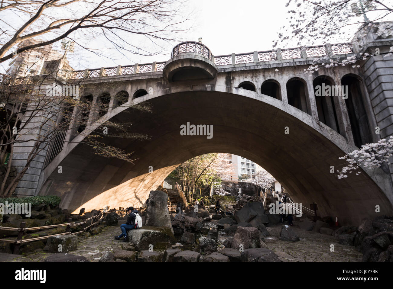 Cherry Blossom, Otonashi Shinsui Koen, Kita-Ku, Tokyo, Japan Stock ...