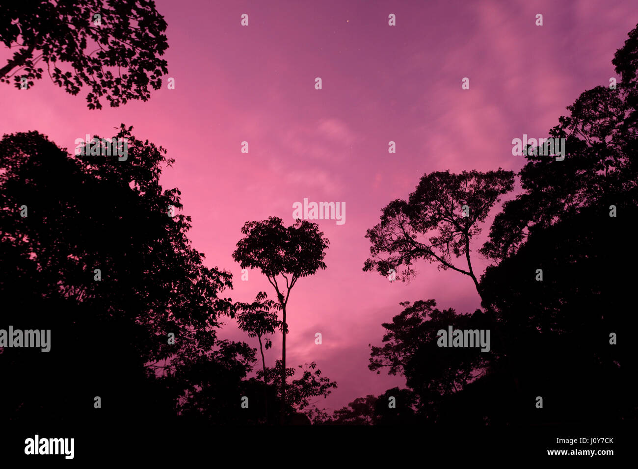 Amazon forest clouds hi-res stock photography and images - Alamy