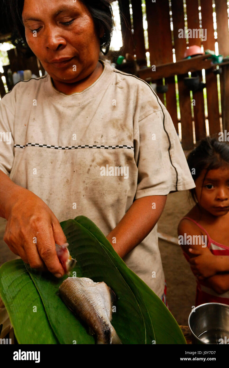 Ecuador indigenous indian woman hi-res stock photography and images - Alamy
