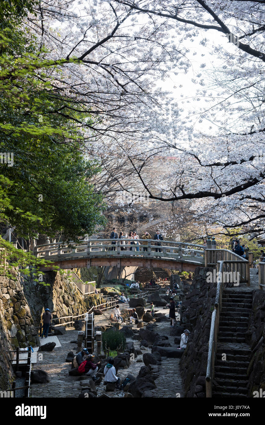 Shinsui hi-res stock photography and images - Alamy