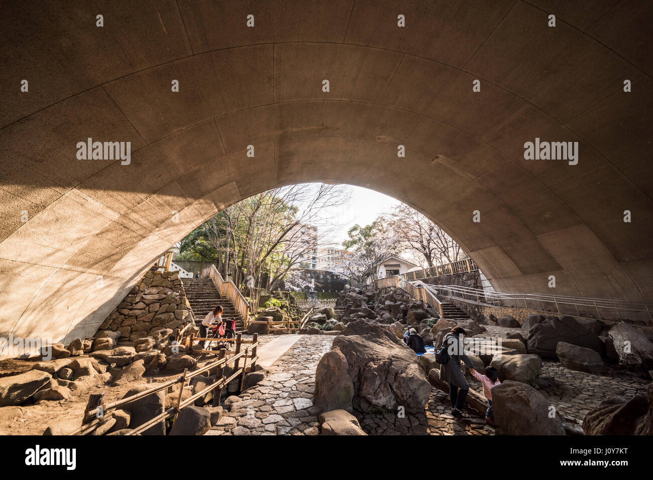 Cherry Blossom, Otonashi Shinsui Koen, Kita-Ku, Tokyo, Japan Stock ...