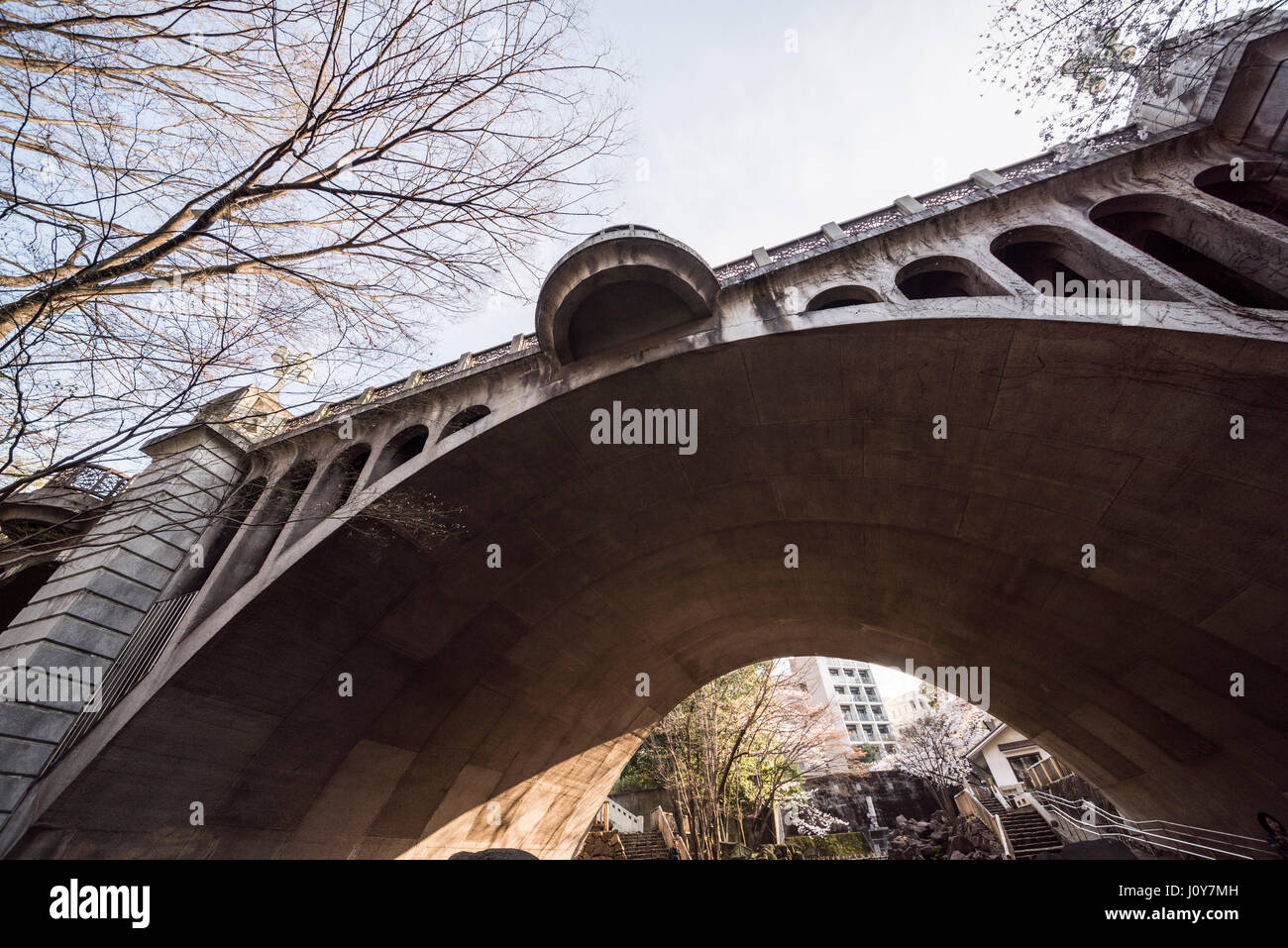 Cherry Blossom, Otonashi Shinsui Koen, Kita-Ku, Tokyo, Japan Stock ...