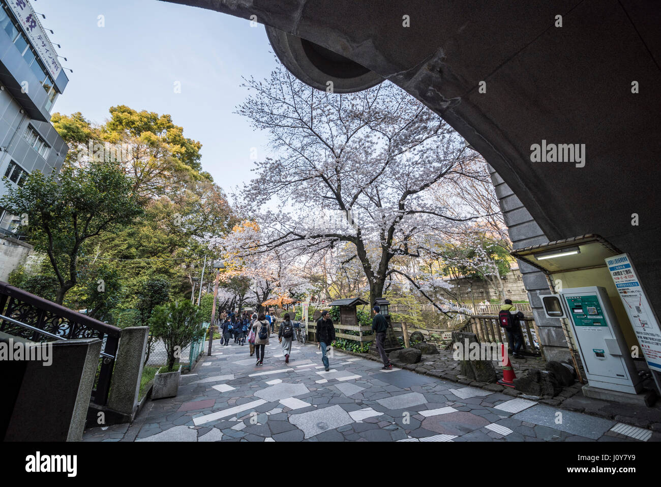 Otonashi shinsui park hi-res stock photography and images - Alamy