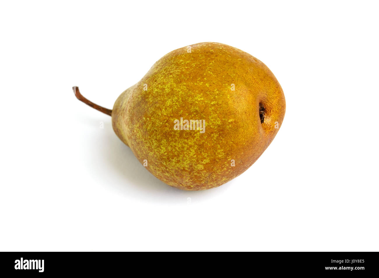 A large yellow (brown) pear lies on its side isolated on a white ...