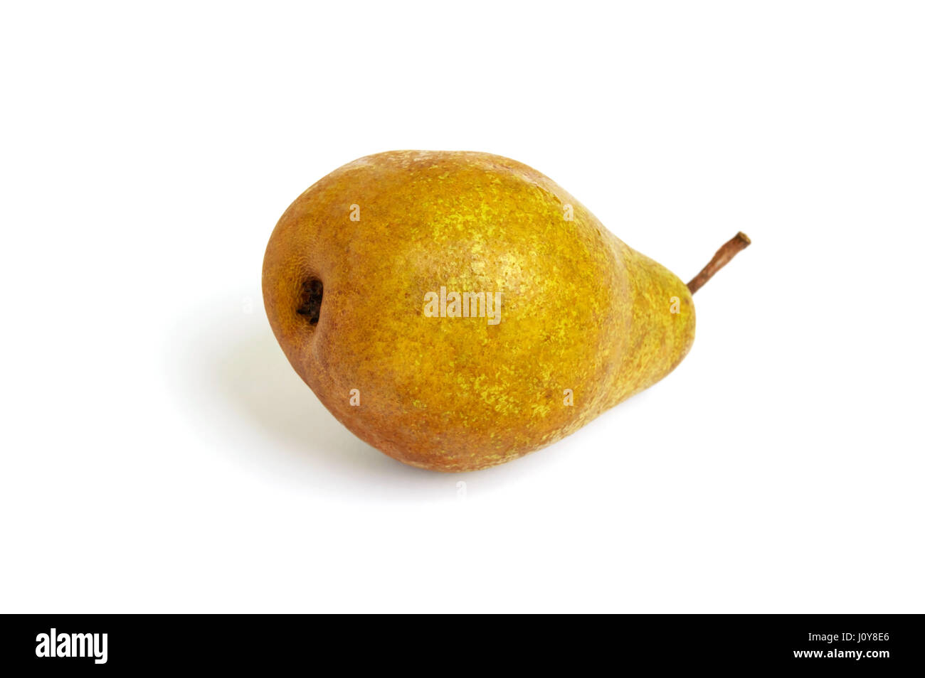A large yellow (brown) pear lies on its side isolated on a white ...