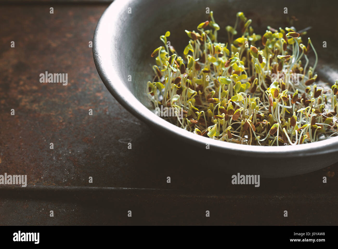 Flax seed sprouts hi-res stock photography and images - Alamy