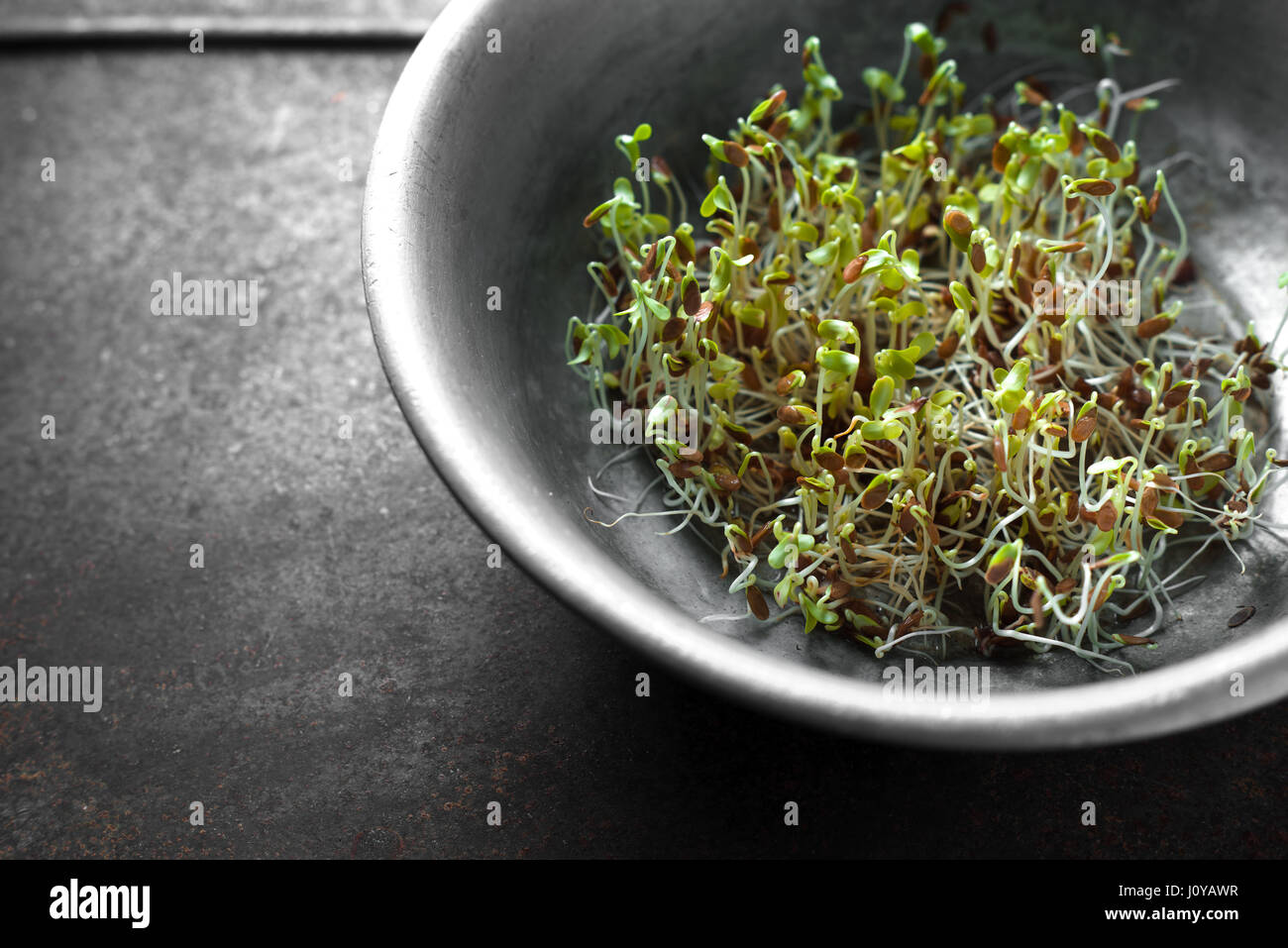 Green flax sprouts in a bowl Healthy Eating horizontal Stock Photo - Alamy