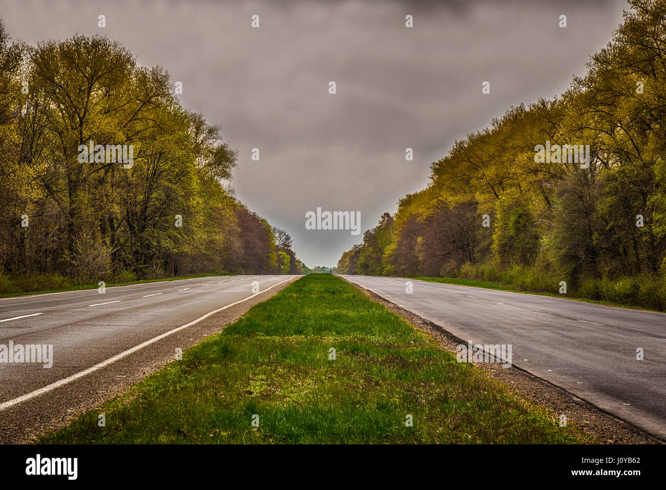 Empty asphalt road and forest HDR Stock Photo - Alamy